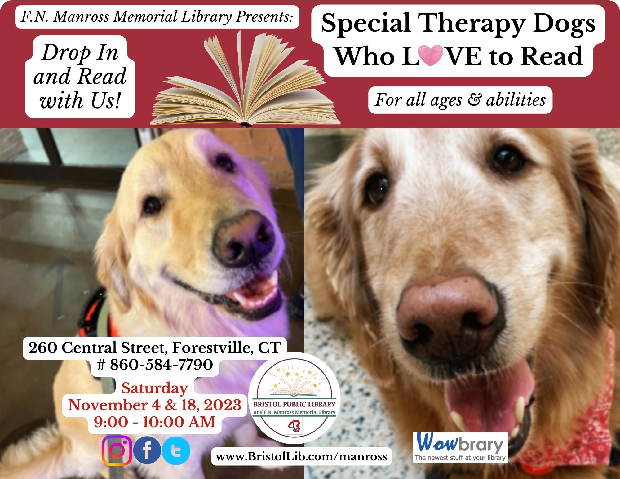 Therapy Dog Visit ~Drop In~ - Bristol Public Library