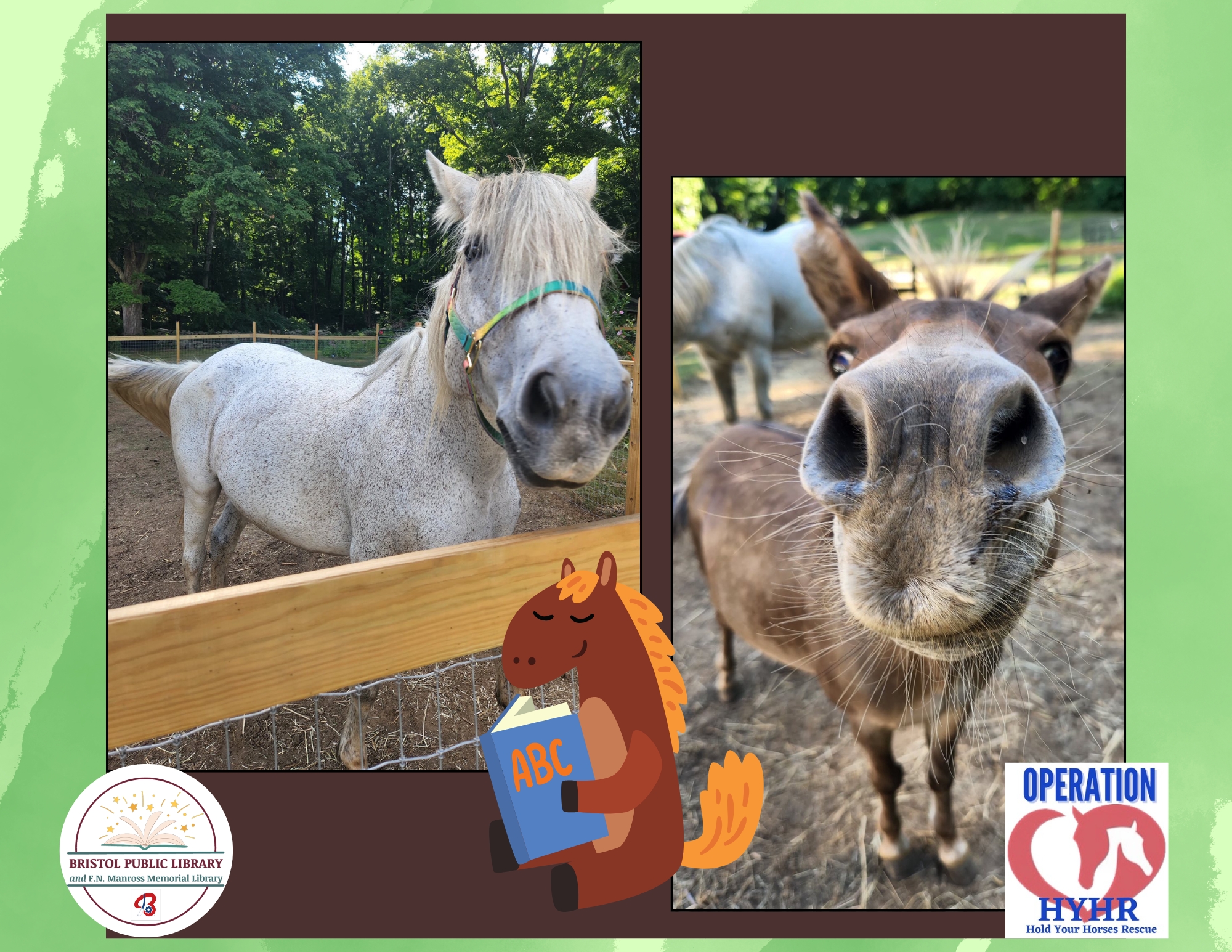 Meet the Horses and Story Time! - Bristol Public Library